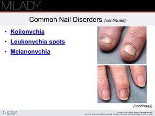 Nail disorders and diseases; Basic Introducion | PPTX