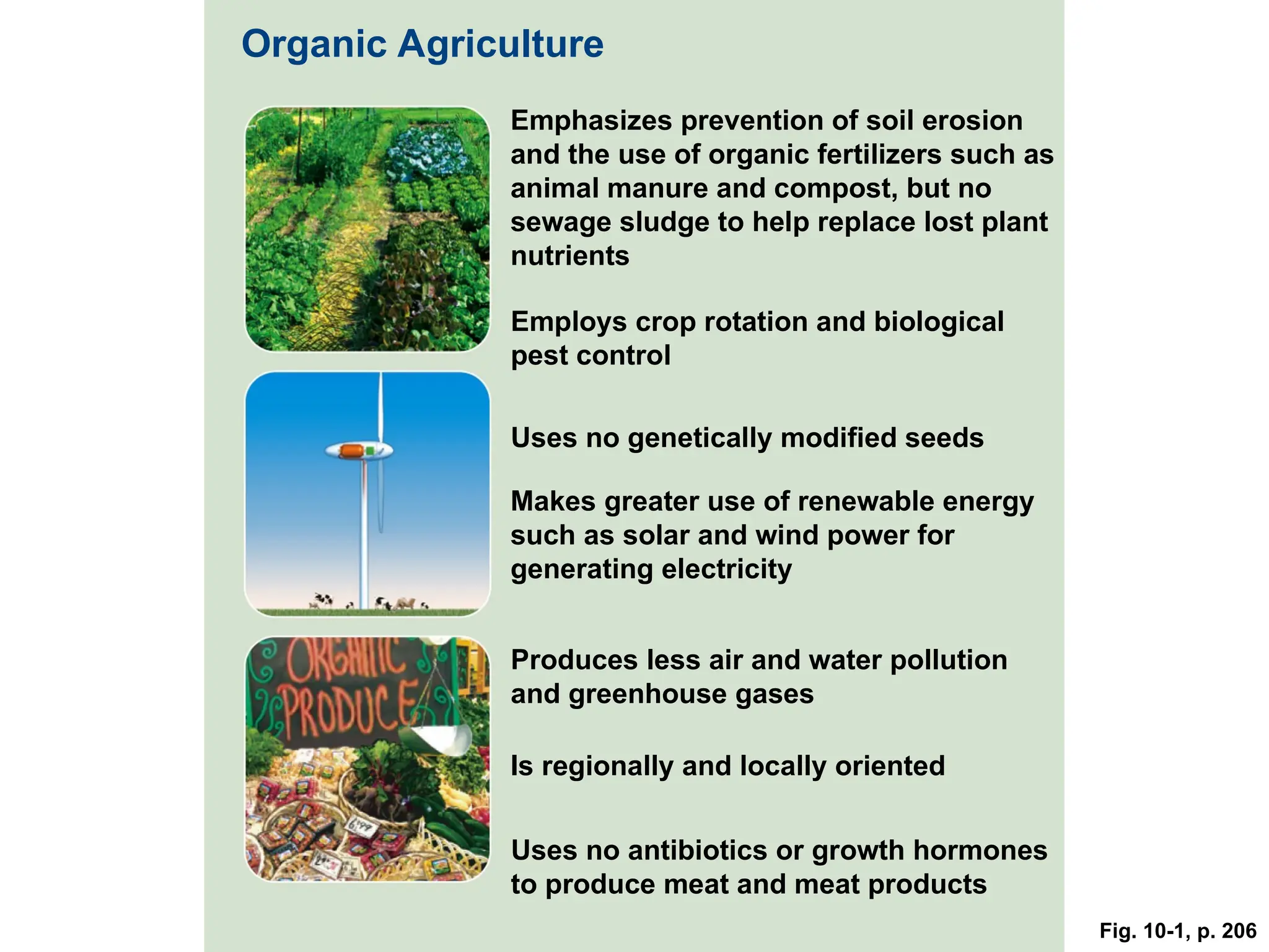 chapter10: Food Soil and Pest Management.ppt