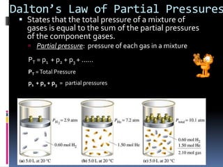 Chapter 10.3 : The Gas Laws | PPT