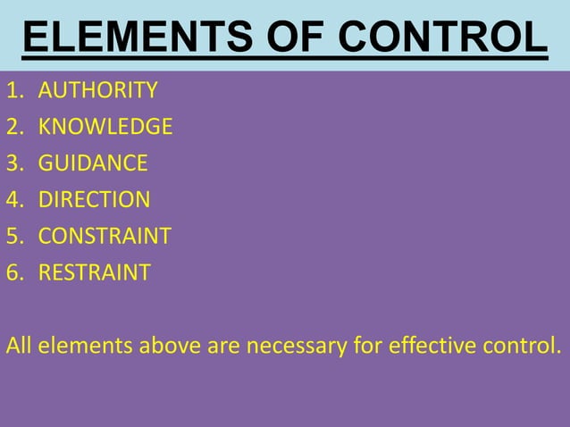 Chapter 10 controlling | PPTX