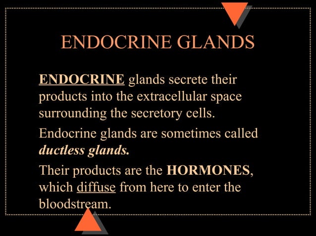 Chapter 10 endocrine system | PPT