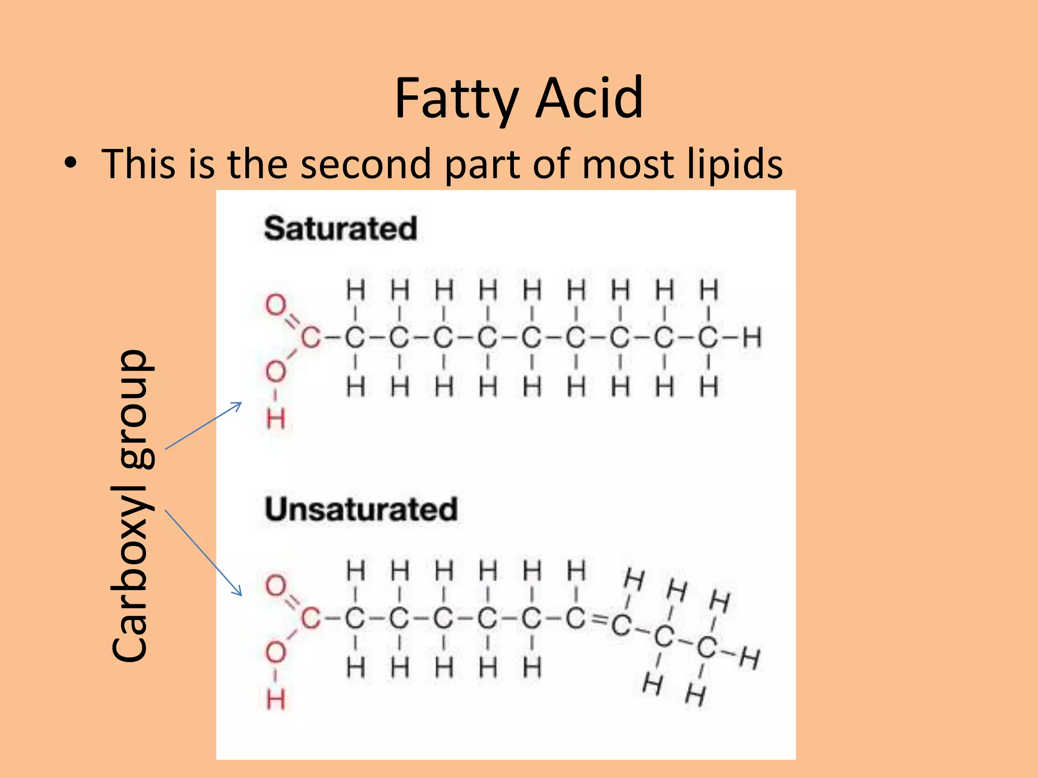 Chapter 10 lipids | PPT
