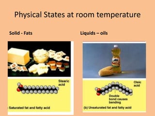 Chapter 10 lipids | PPTX