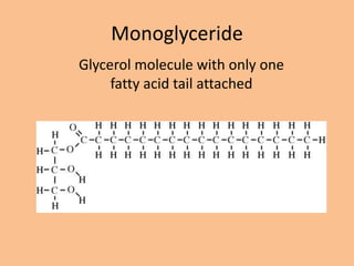 Chapter 10 lipids | PPTX