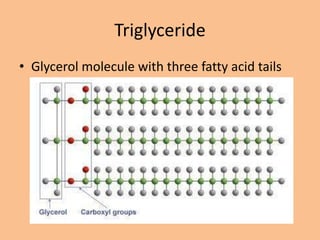 Chapter 10 lipids | PPTX