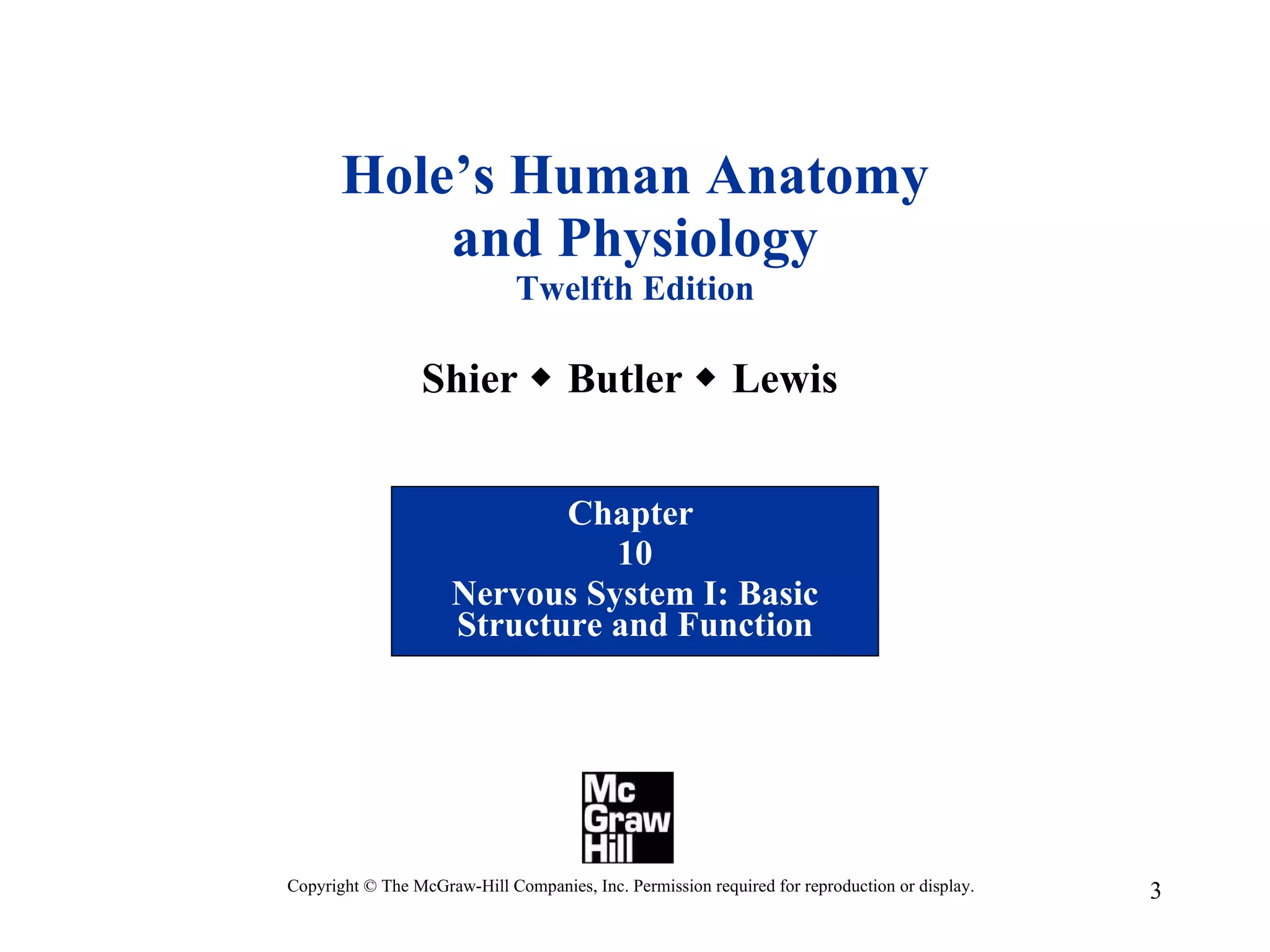 Chapter 10 Nervous System I - Basic Structure and Function | PPT