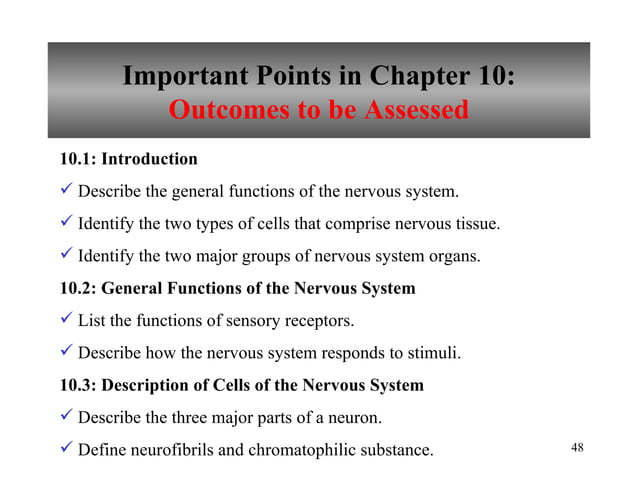 Chapter 10 Nervous System I - Basic Structure and Function | PPT