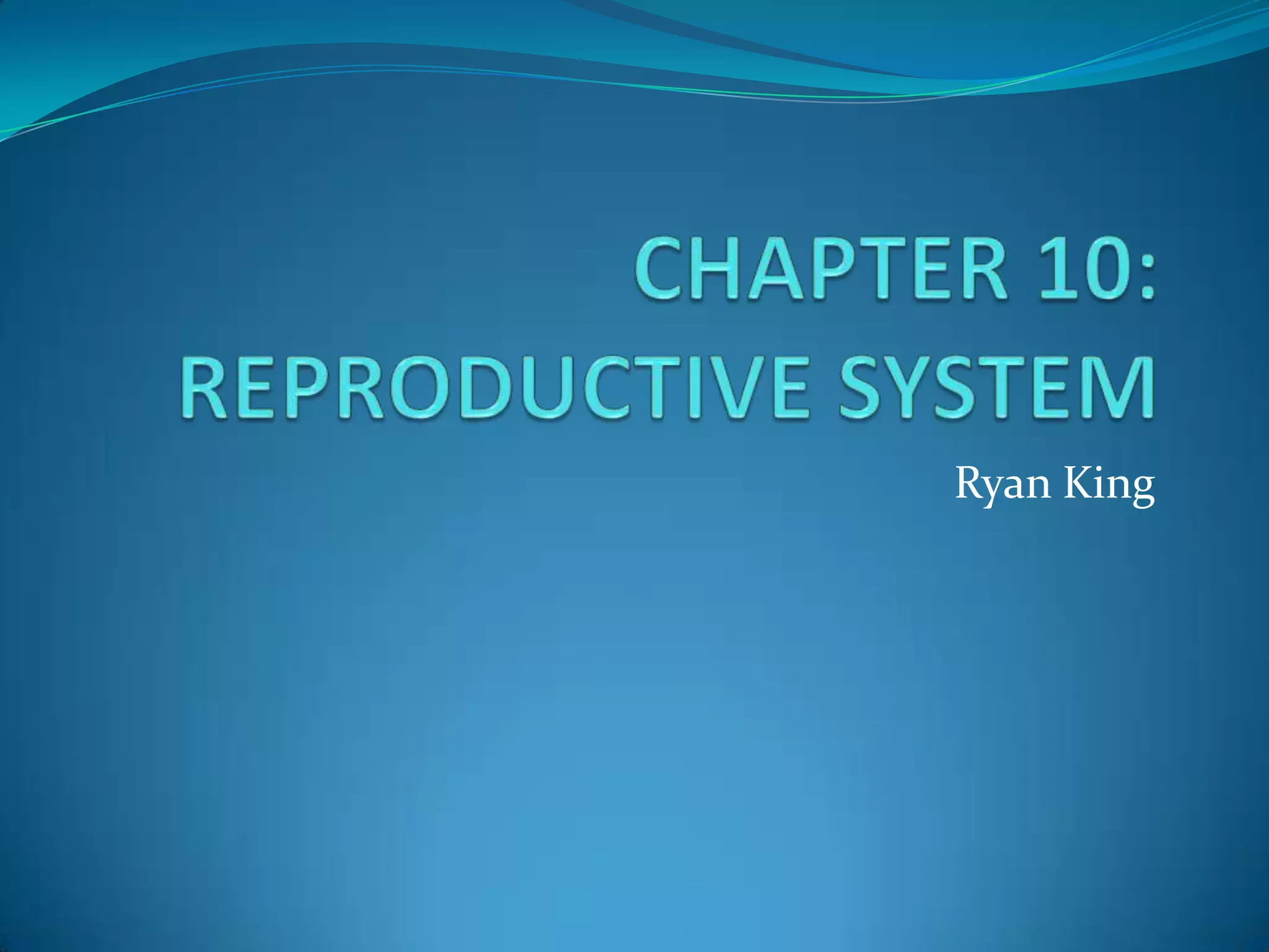 Chapter 10 presentation | PPTX