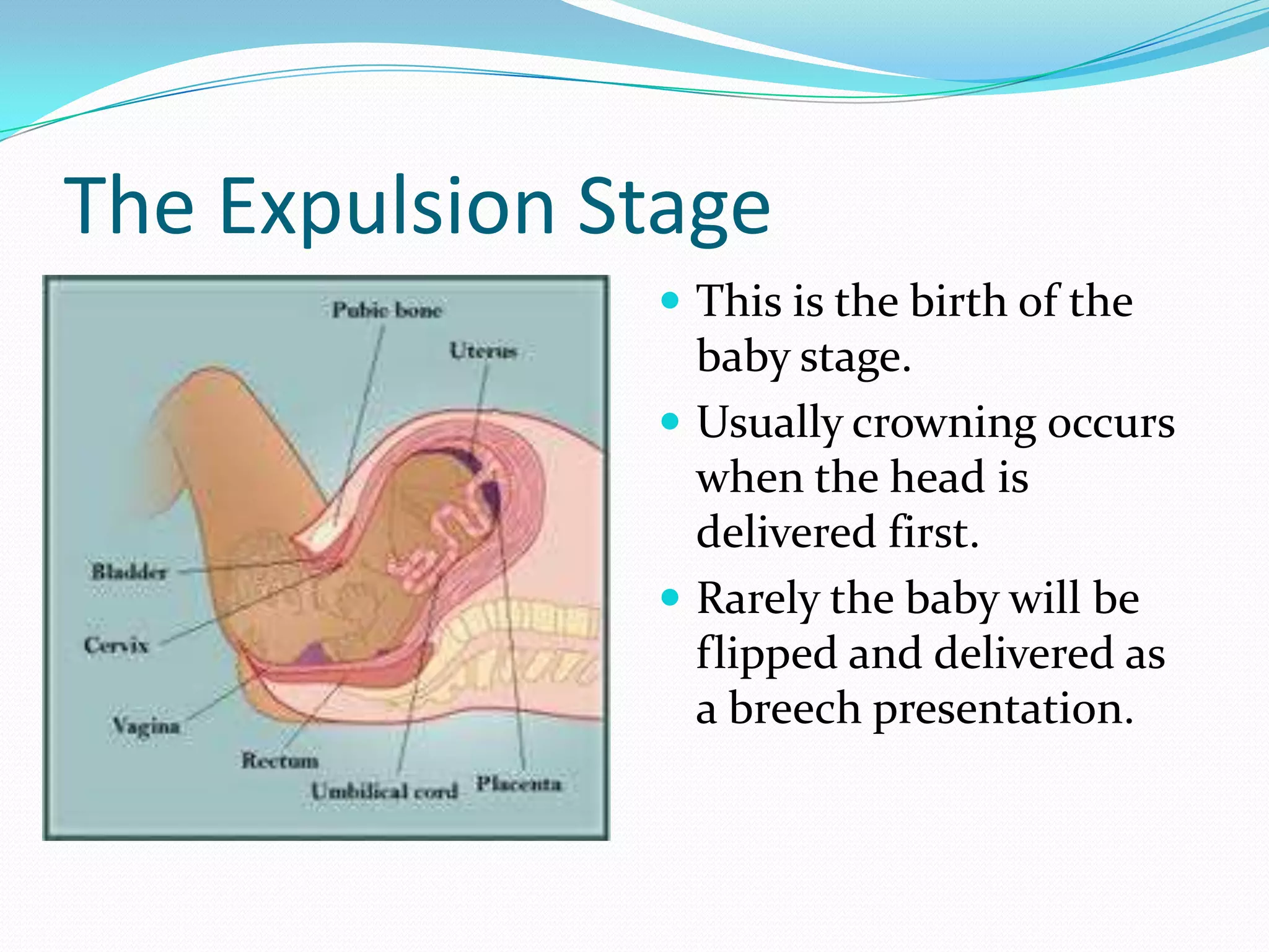 Chapter 10 presentation | PPTX