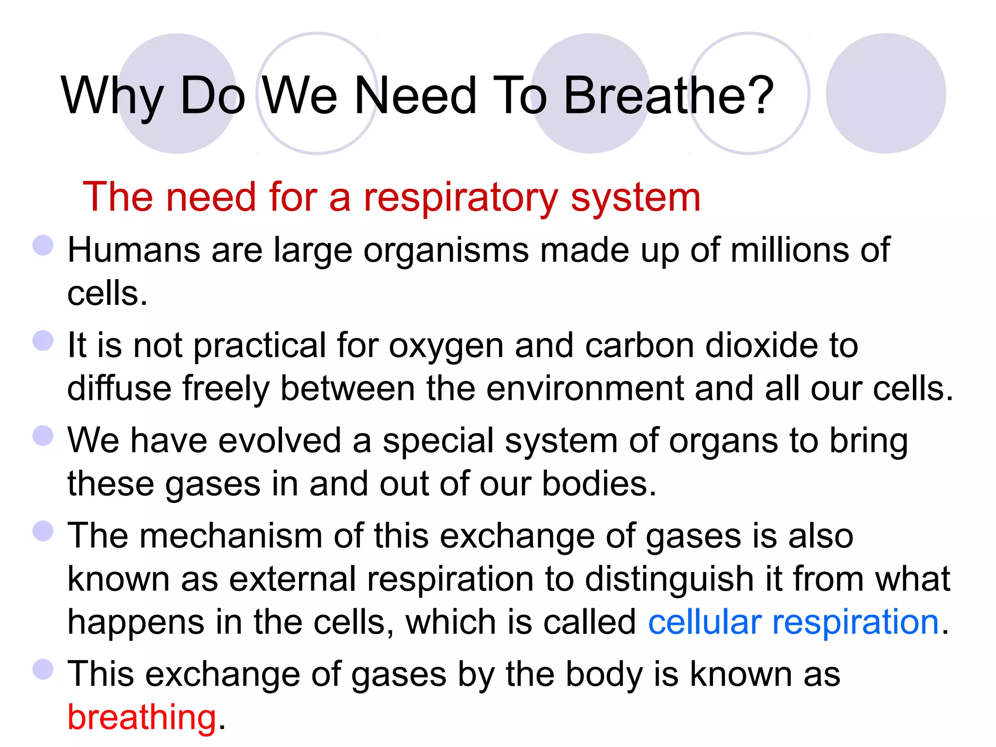 Chapter 10 respiration | PPT