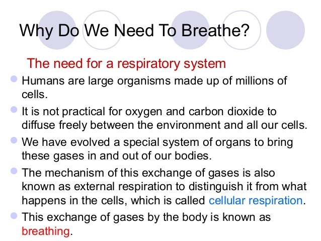 Chapter 10 respiration