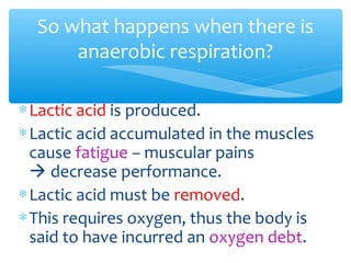 Chapter 10 respiration II | PPT