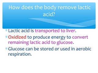 Chapter 10 respiration II | PPT