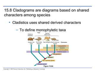 Chapters 10 and 15 | PPT