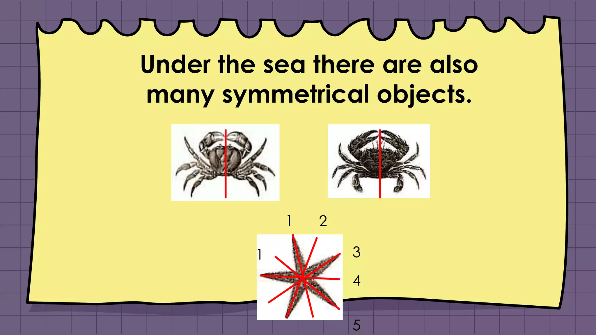 CHAPTER 10 2D SHAPES TO 3D SHAPES.pptx