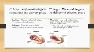 Chapter 10 a presentation | PPT