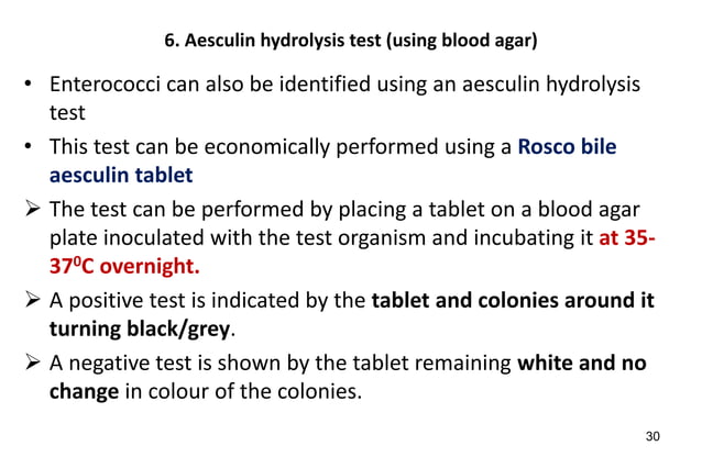 Chapter 10 Biochemical tests.pptx bacteriology | PPT