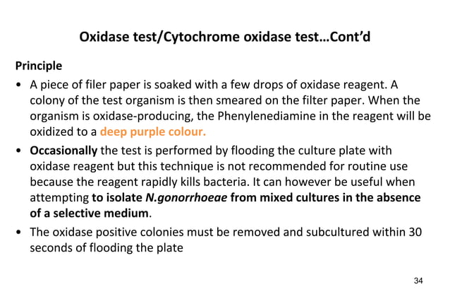 Chapter 10 Biochemical tests.pptx bacteriology | PPT