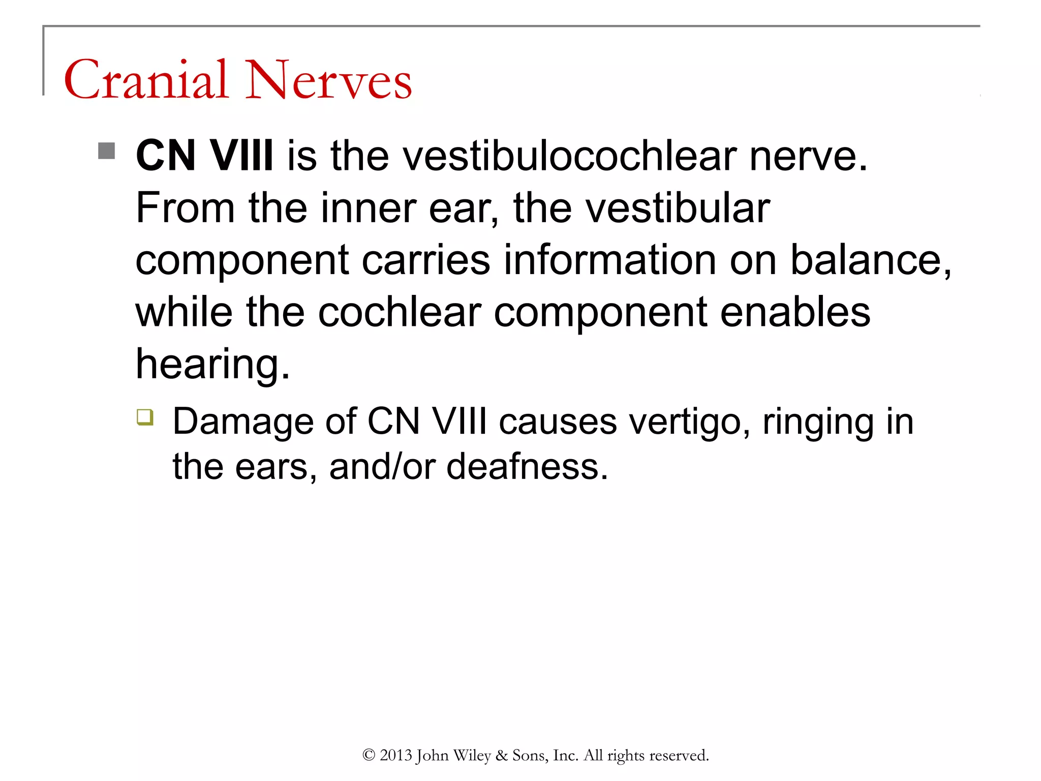 Chapter 10 central nervous system, spinal nerves, and cranial nerves | PPT