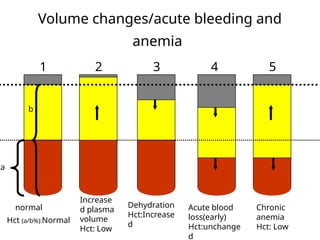 Chapter 10_Classification and laboratory assessment of anemia_Student ...