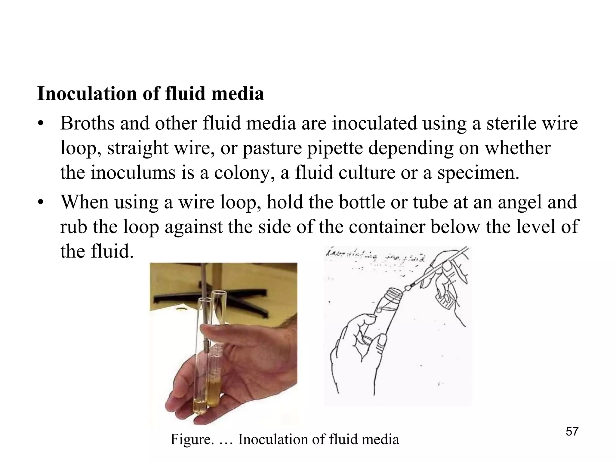 Chapter 10 Culture media preparation, inoculation.ppt