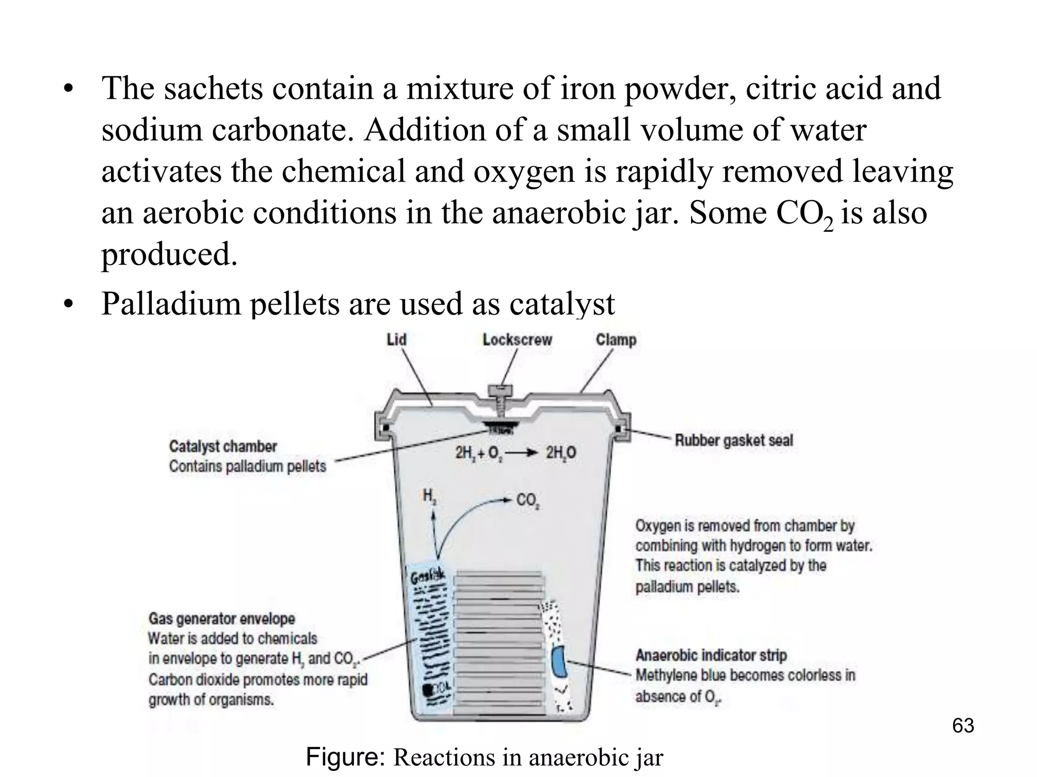 Chapter 10 Culture media preparation, inoculation.ppt