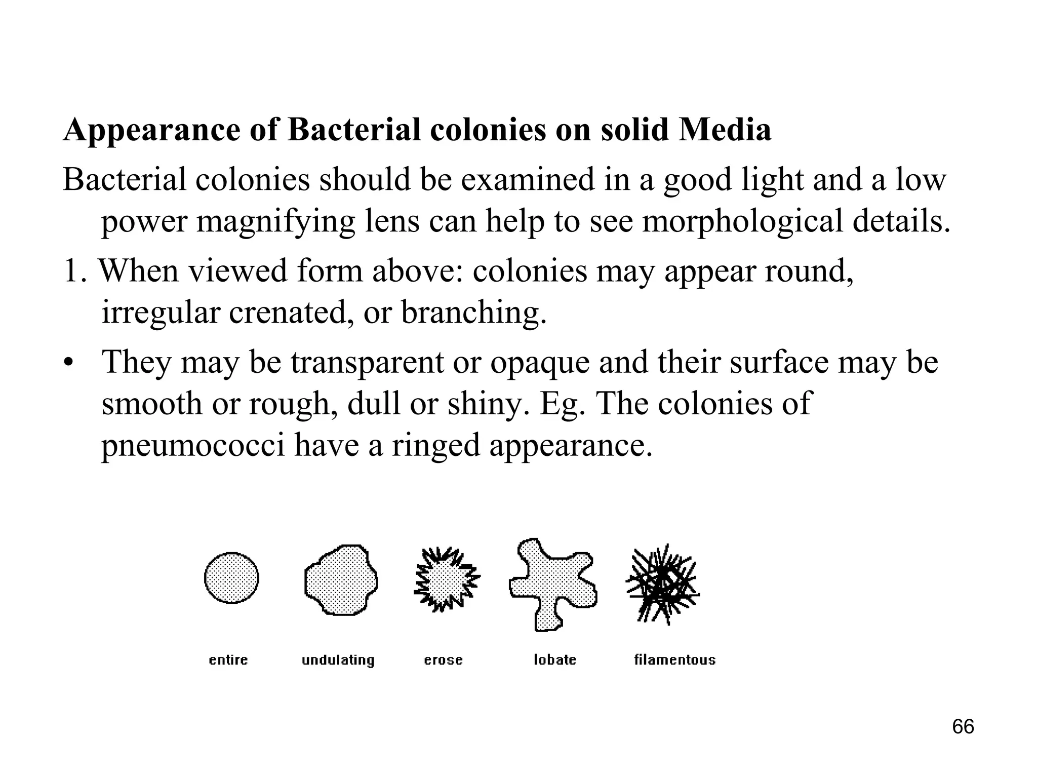 Chapter 10 Culture media preparation, inoculation.ppt