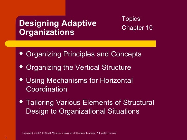 Chapter 10 designing adaptive organizations(1)
