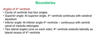 Chapter 10 Fourth Ventricle anatNew.pptx