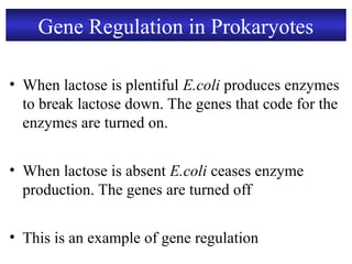 Chapter 10 Gene Regulation in Human Chromosomes | PPT