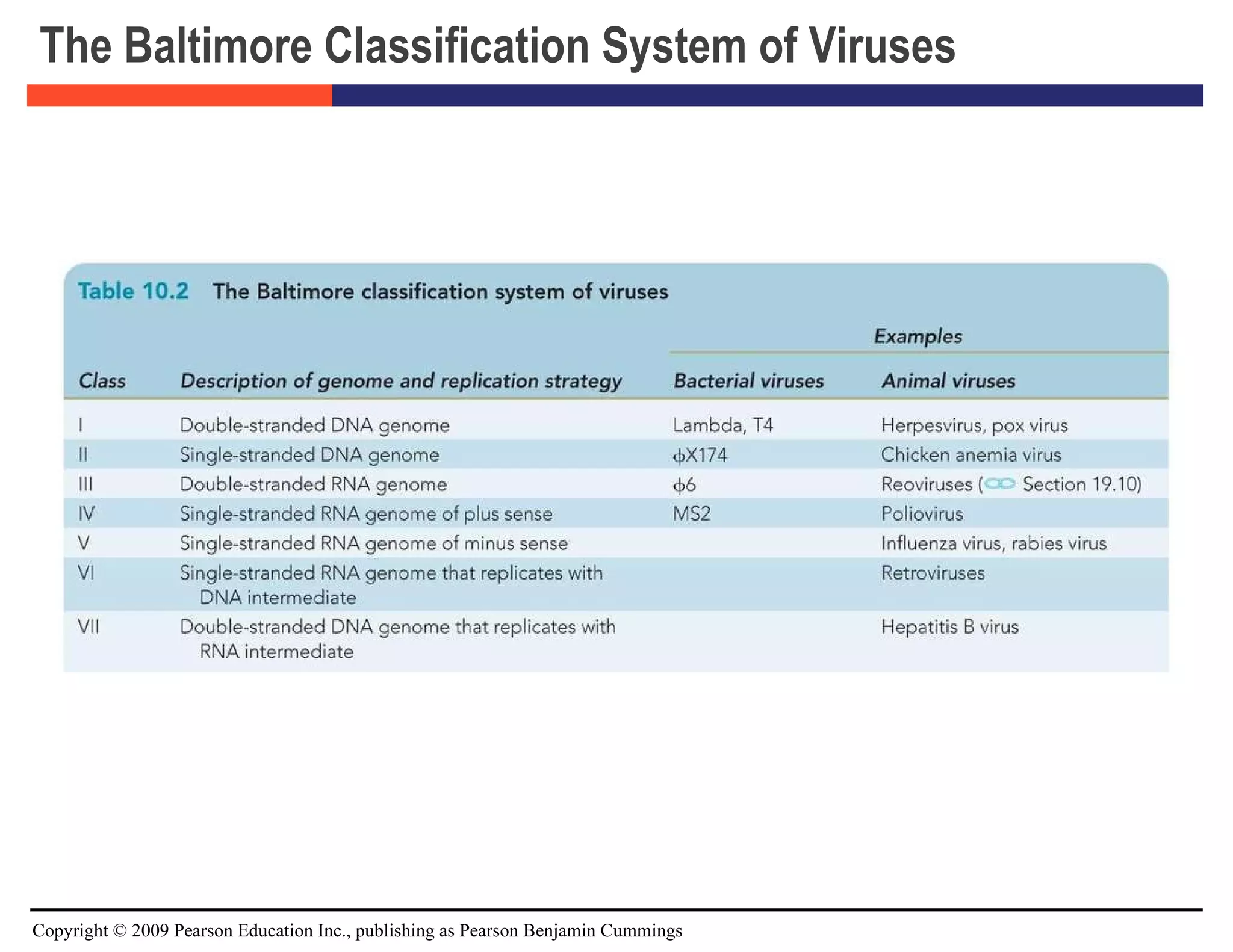 Chapter 10 Lecture | PPT
