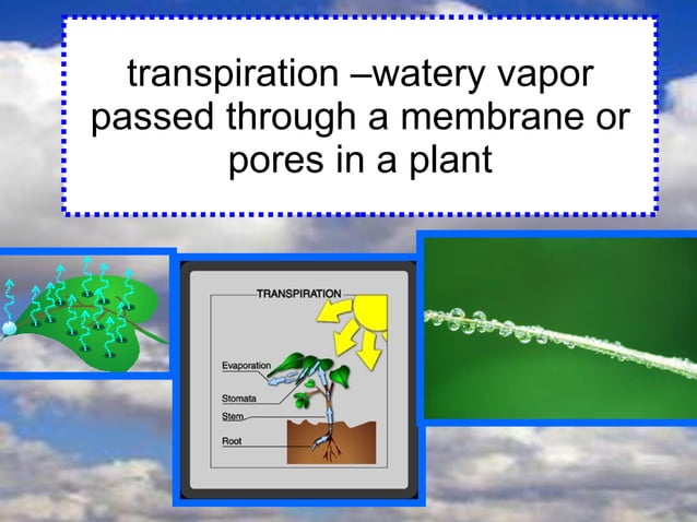 Chapter 10 Lesson 4 Water Vapor and Humidity | PPT