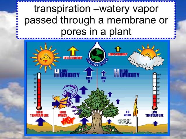 Chapter 10 Lesson 4 Water Vapor and Humidity | PPT