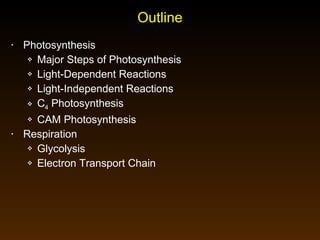Chapter 10 Metabolism | PPT
