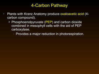 Chapter 10 Metabolism | PPT