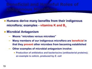 Chapter10 microfarid | PPT