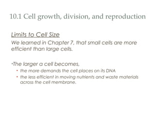 Chapter 10 notes - Cell Growth and Division | PPT