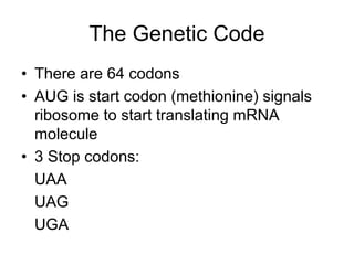 Chapter_10_Nucleic_Acids and protein.ppt