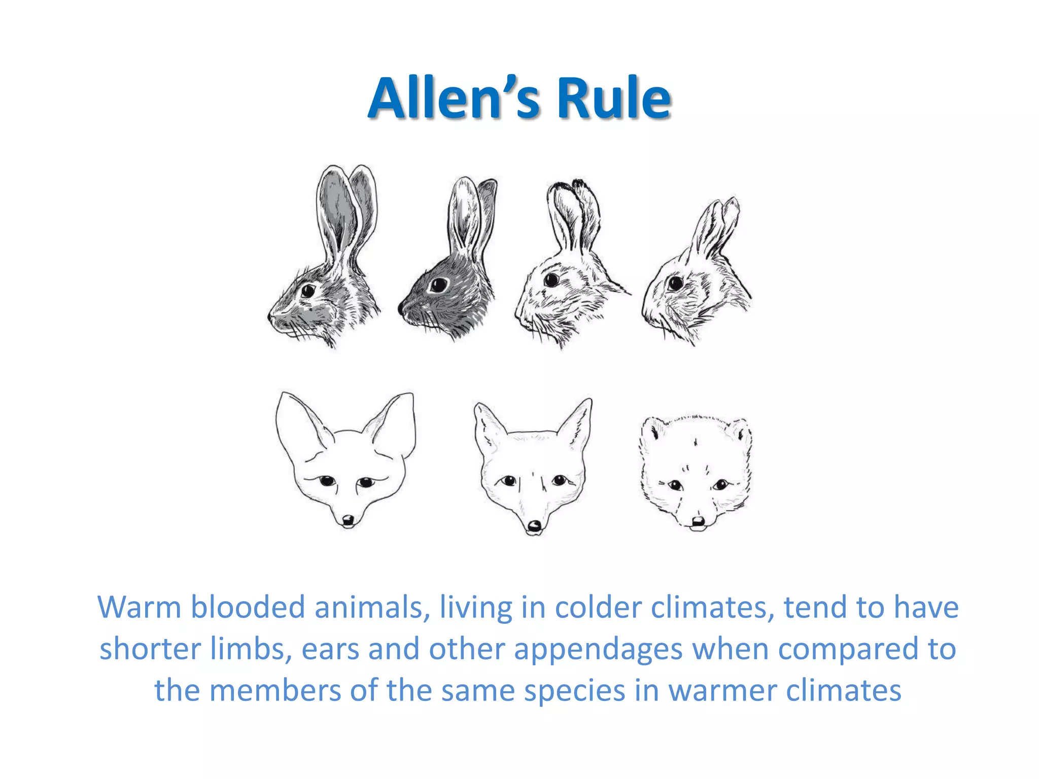 Chapter 10 organisms and population | PPTX