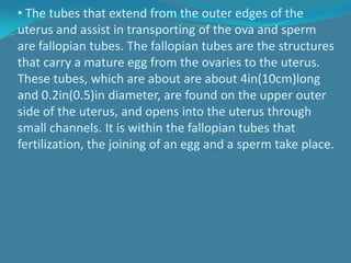 Chapter 10 powerpoint | PPT