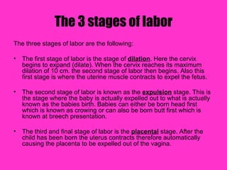 Chapter 10 Presentation | PPT