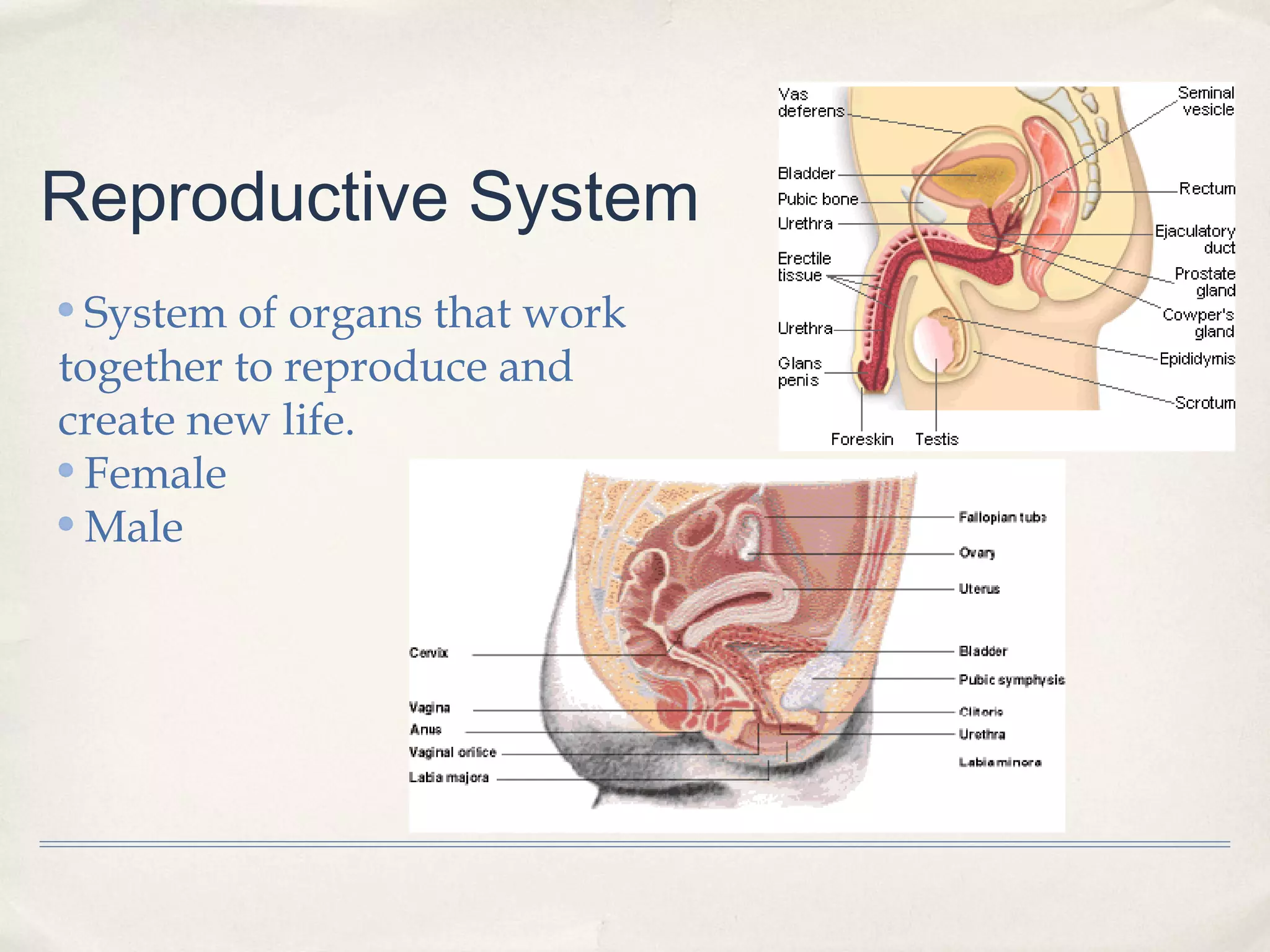 Chapter 10 presentation | PPT