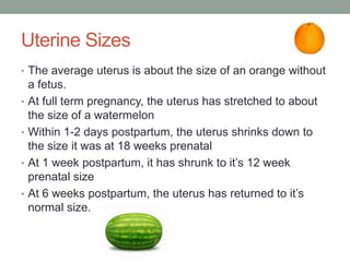 Chapter 10 presentation | PPT