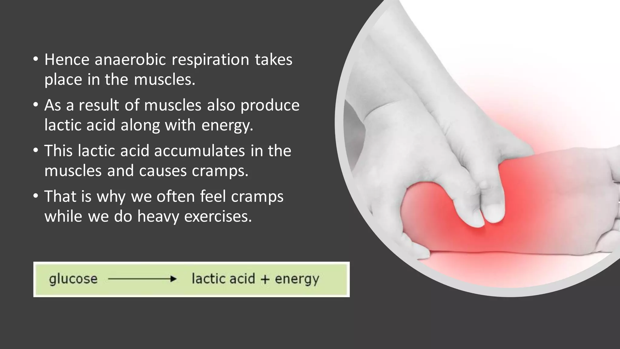 Chapter - 10, Respiration in Organisms, Science, Class 7 | PDF