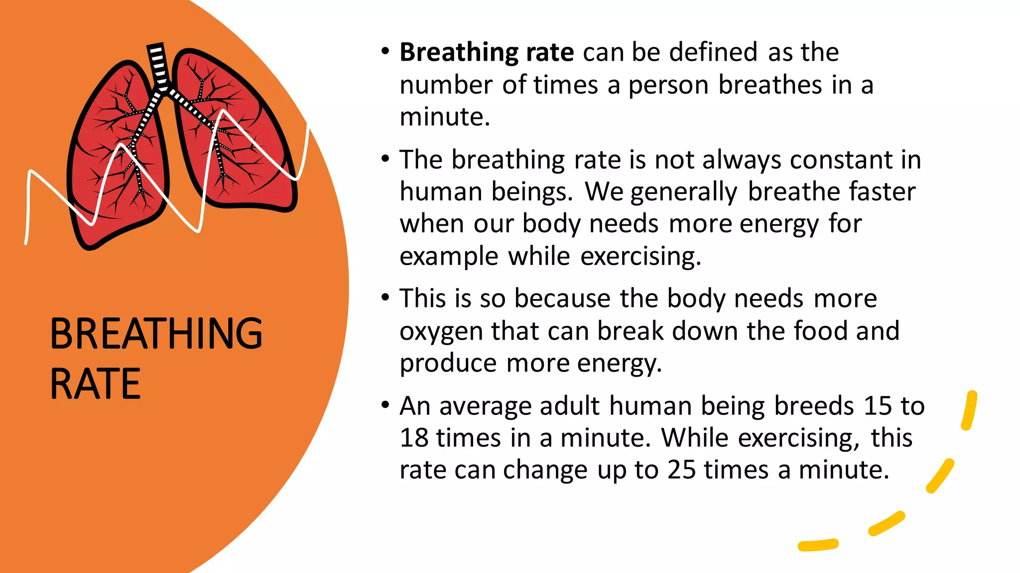 Chapter - 10, Respiration in Organisms, Science, Class 7 | PDF