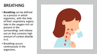 Chapter - 10, Respiration in Organisms, Science, Class 7 | PDF