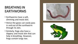 Chapter - 10, Respiration in Organisms, Science, Class 7 | PDF