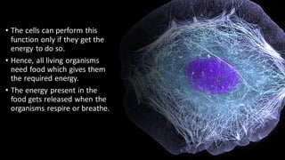 Chapter - 10, Respiration in Organisms, Science, Class 7 | PDF
