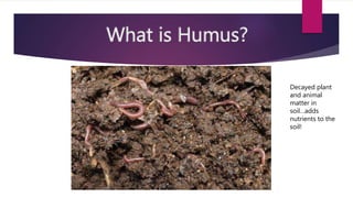 Chapter 10 science ppt | PPT