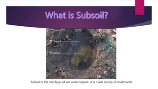 Chapter 10 science ppt | PPT